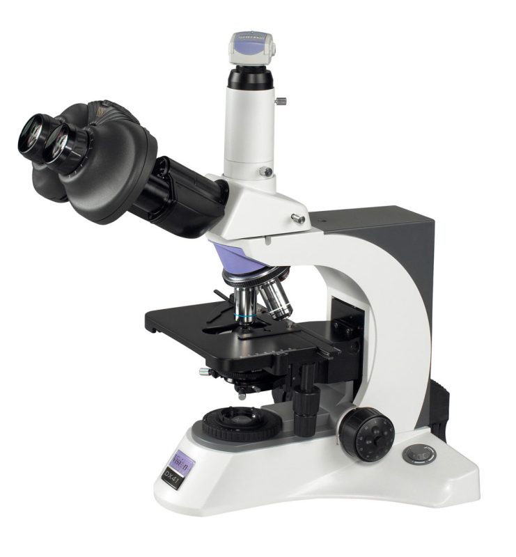 Vision Engineering DX21 Laboratory Microscope (#DX-21) | Willrich ...
